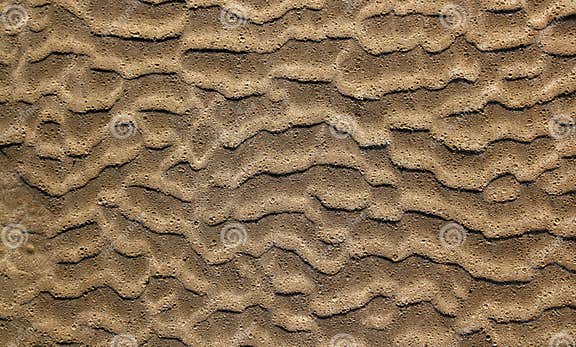 Beach Sand Waves Pattern Texture Brown Wet Stock Photo - Image of brown ...