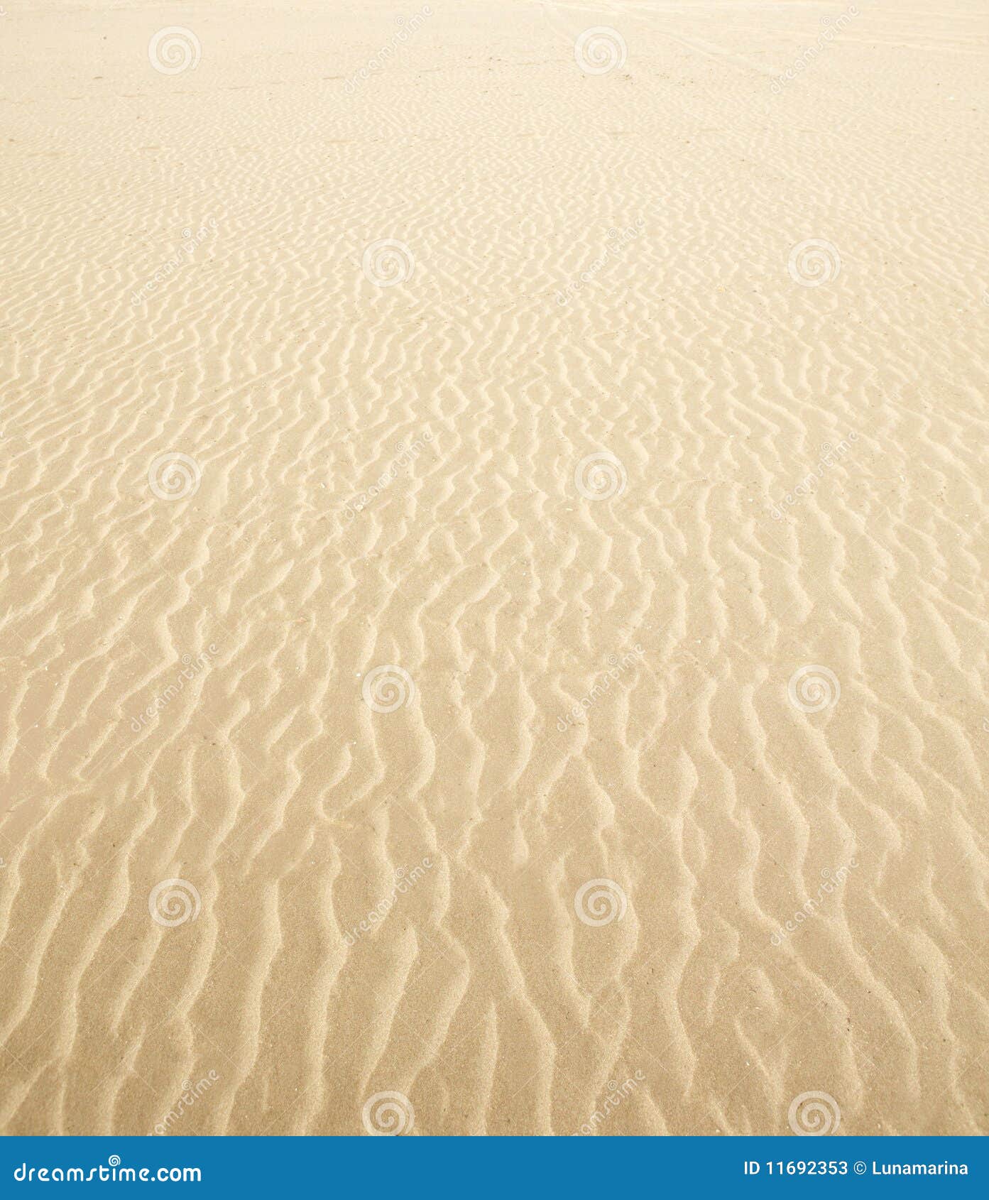 Sand Waves Texture . Sandy Beach For Background. Stock Image ...