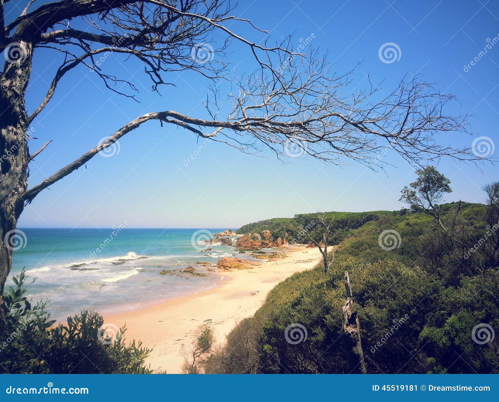 Beach scape stock image. Image of beach, australian, ocean - 45519181