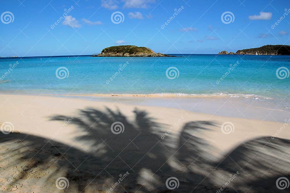 Beach Scene stock image. Image of setting, ocean, palm - 602413