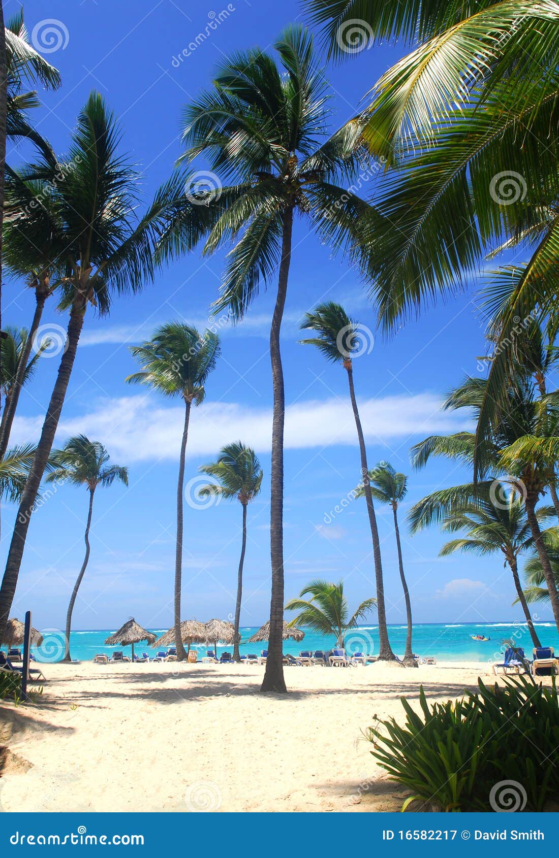 Beach Scene in the Dominican Republic Stock Image - Image of seascape ...
