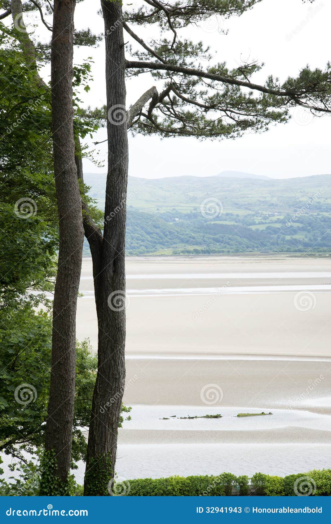 Beach Scene Landscape Viewed through Trees Stock Image - Image of ...