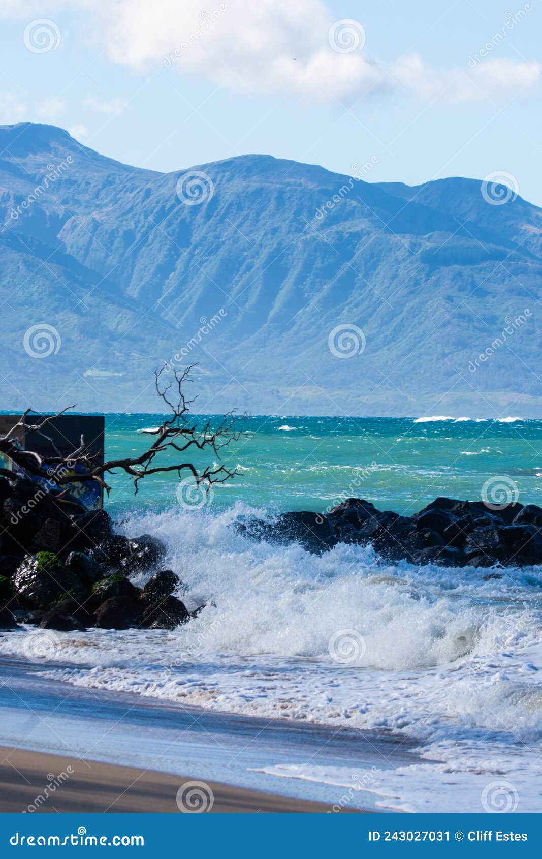 Beach scene Maui, Hawaii stock image. Image of pleasure - 243027031