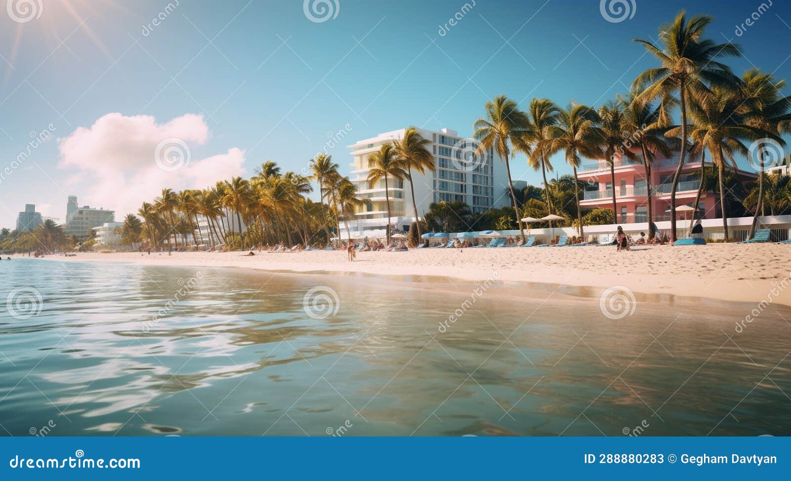 Beach Scene, Miami Street with Palms, Palms in the Miami Stock ...