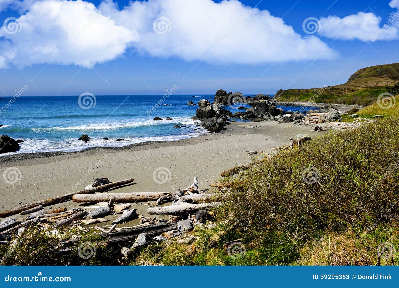 Beach Scene on the Pacific Ocean Stock Image - Image of travel ...