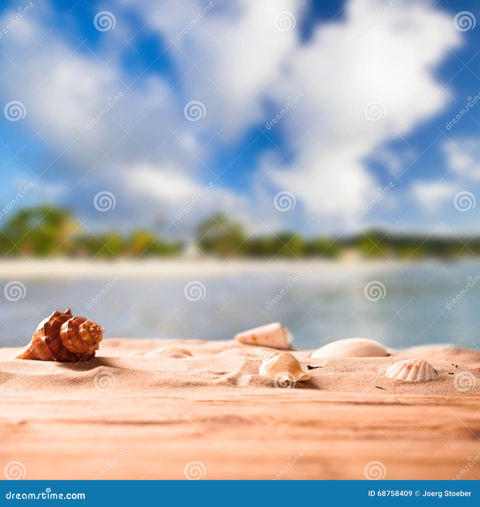 Beach Scene with Sea Shells and Antigua Beach in Background Stock Image ...