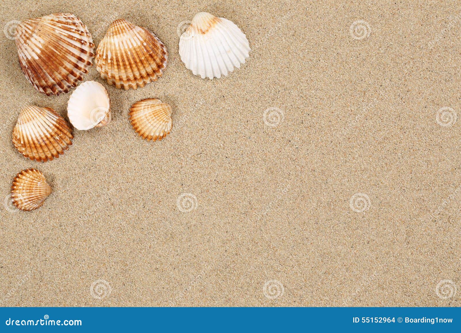 Beach Scene in Summer Holiday with Sand, Sea Shells and Copyspace Stock ...