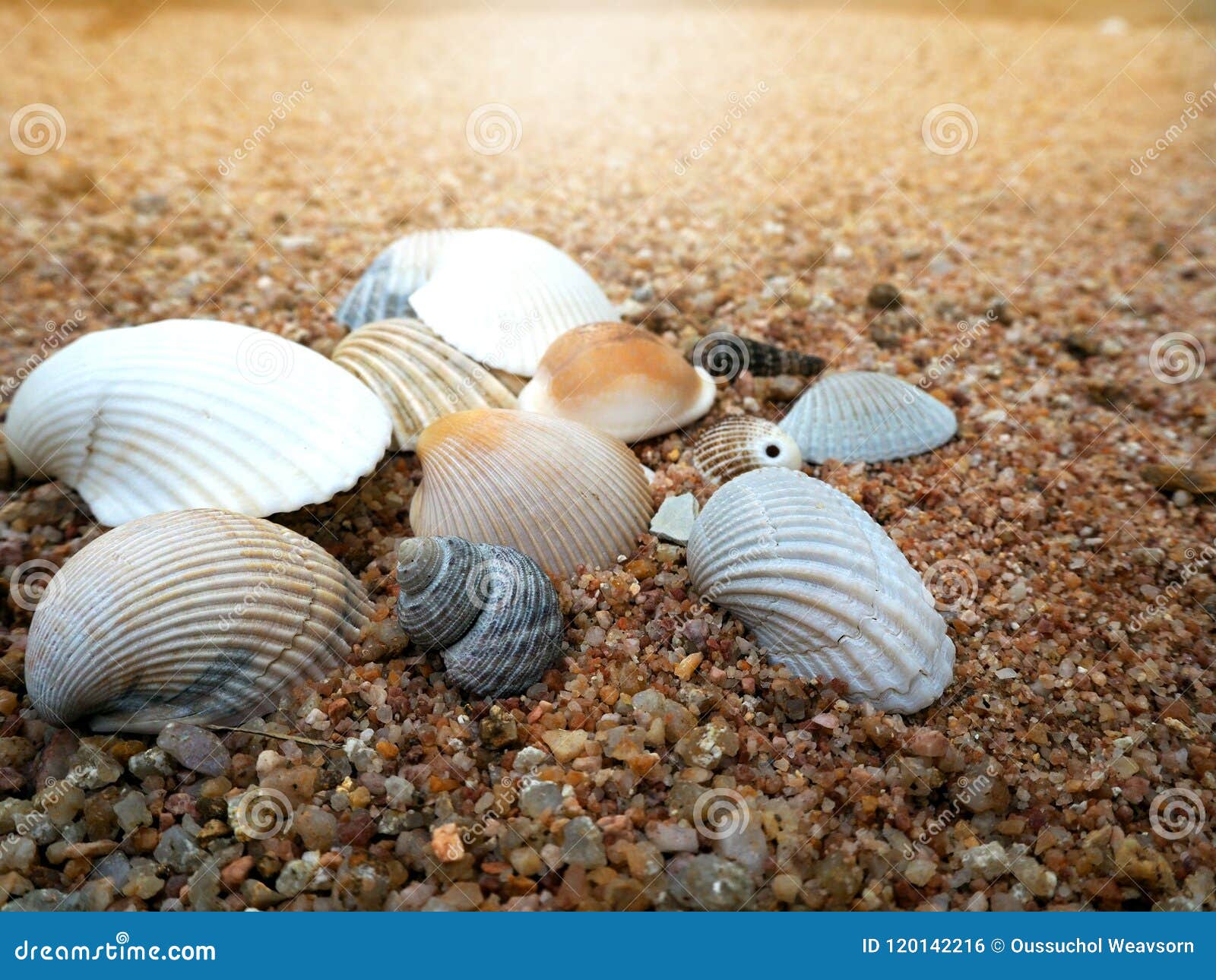 Beach Scene in Summer Vacation Holiday with Sand Stock Photo - Image of ...