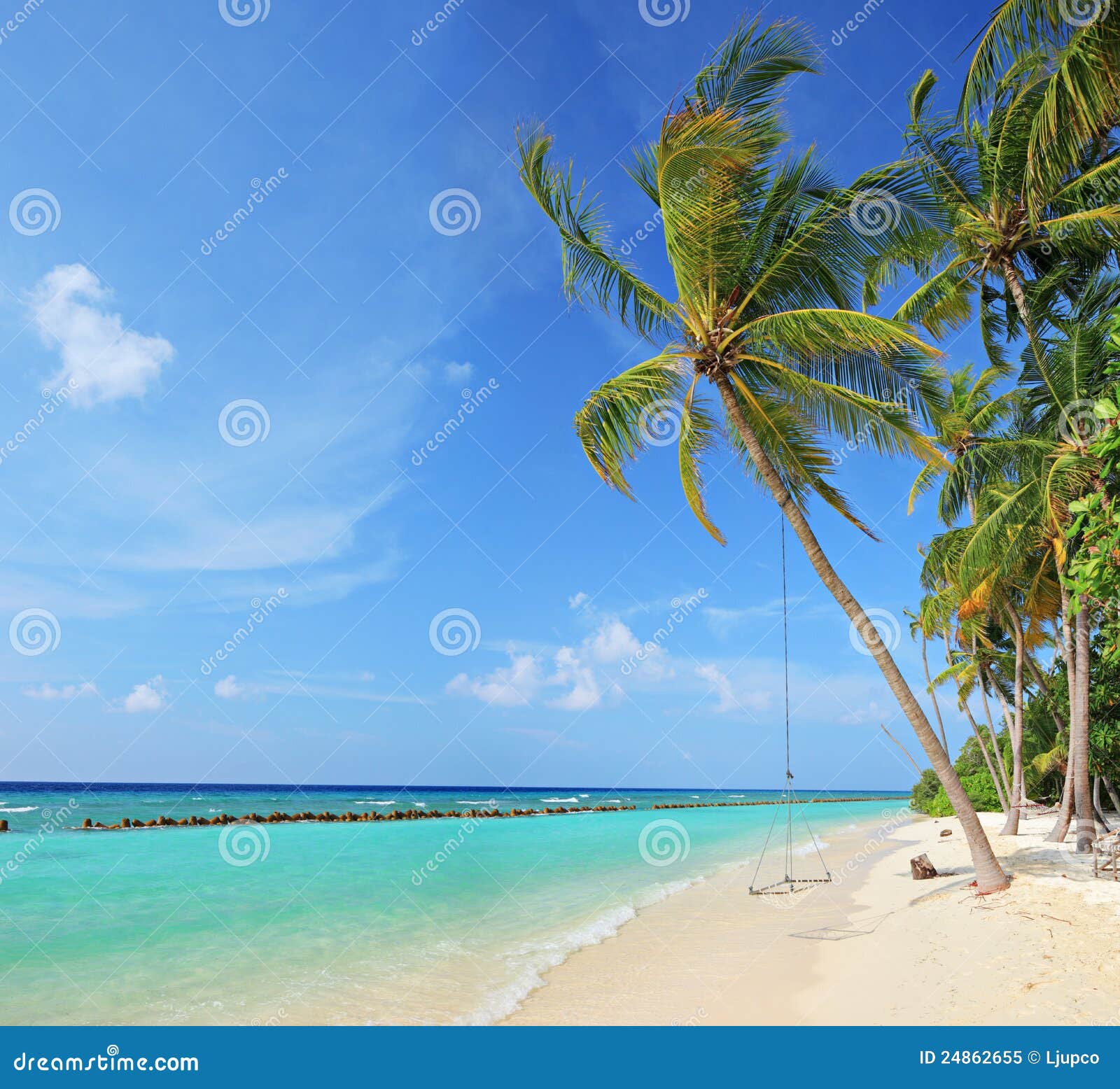 Beach Scene With Palm Tree