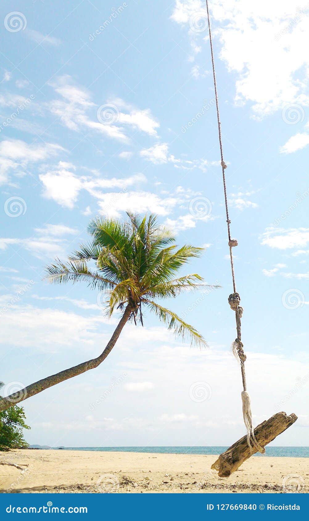 Beach Scene with a Swing on a Palm Tree Stock Photo - Image of natural ...