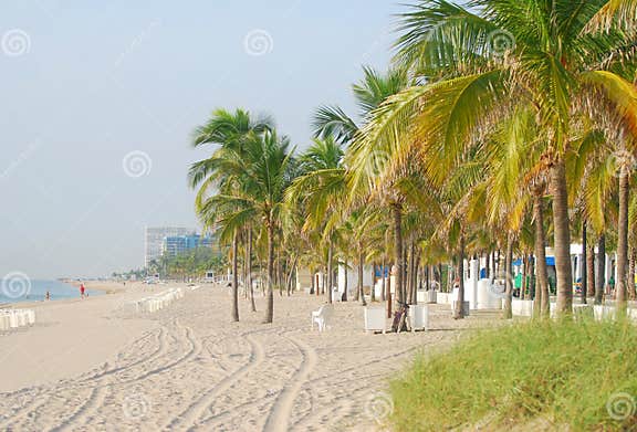 Beach scenery from Florida stock photo. Image of scene - 6238638