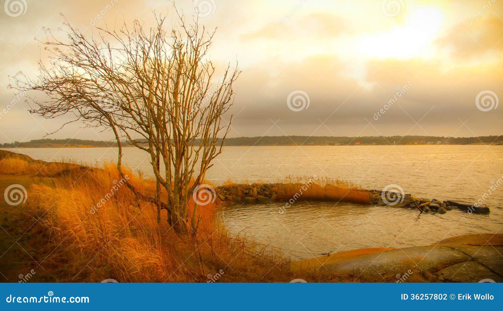 Beach scenery stock photo. Image of beautiful, lake, view - 36257802