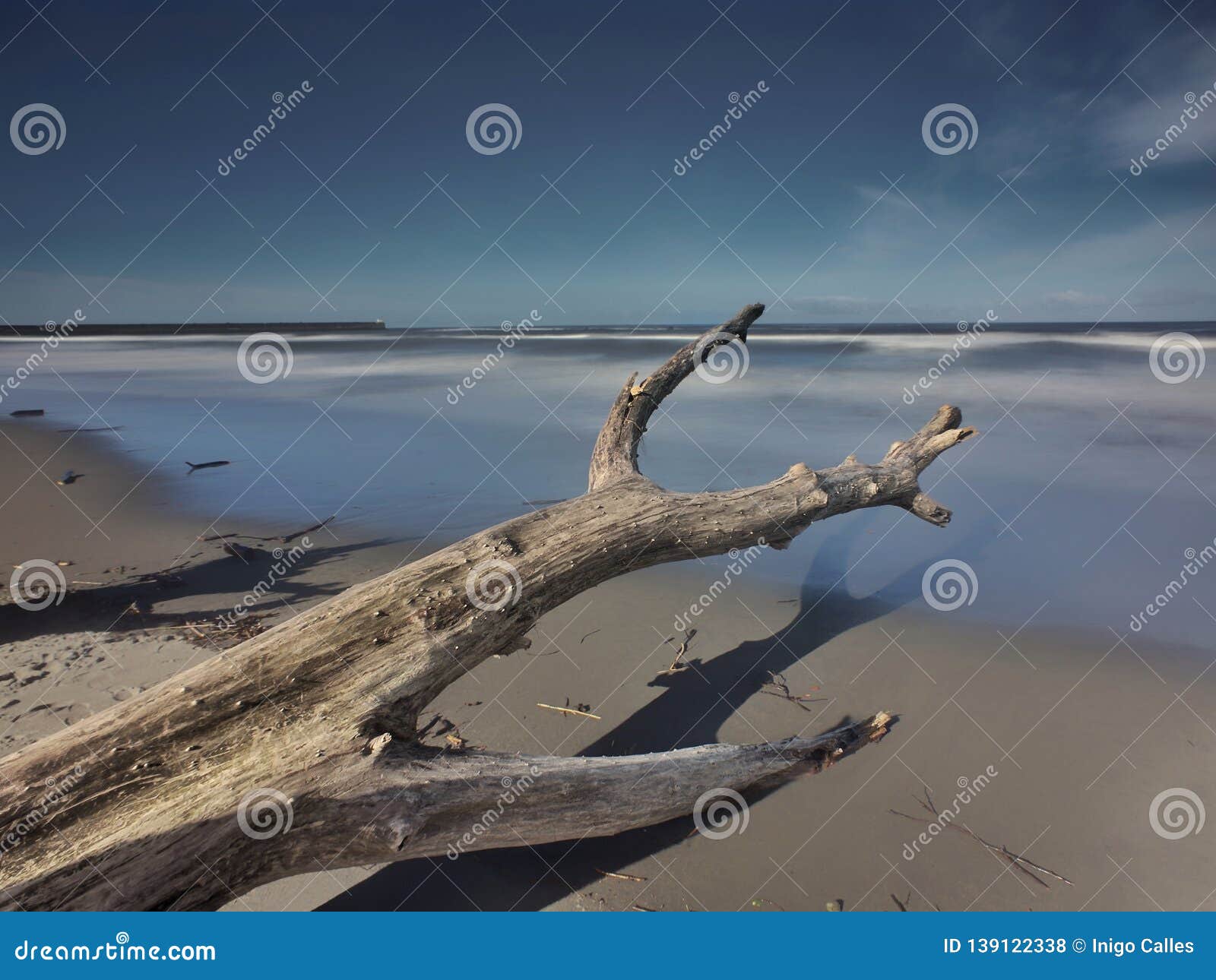 Trunks on the beach stock photo. Image of beach, clouds - 139122338