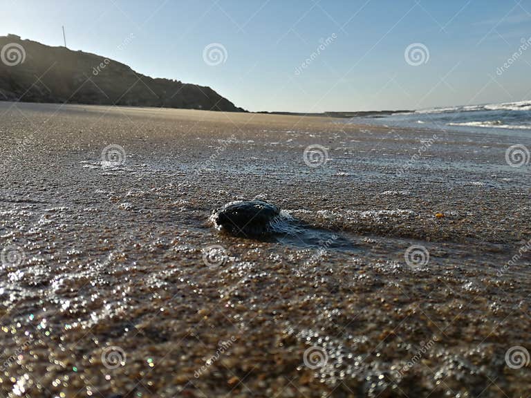 Beach, Sea Effects at Sunrise Stock Image - Image of effects, sunrise ...