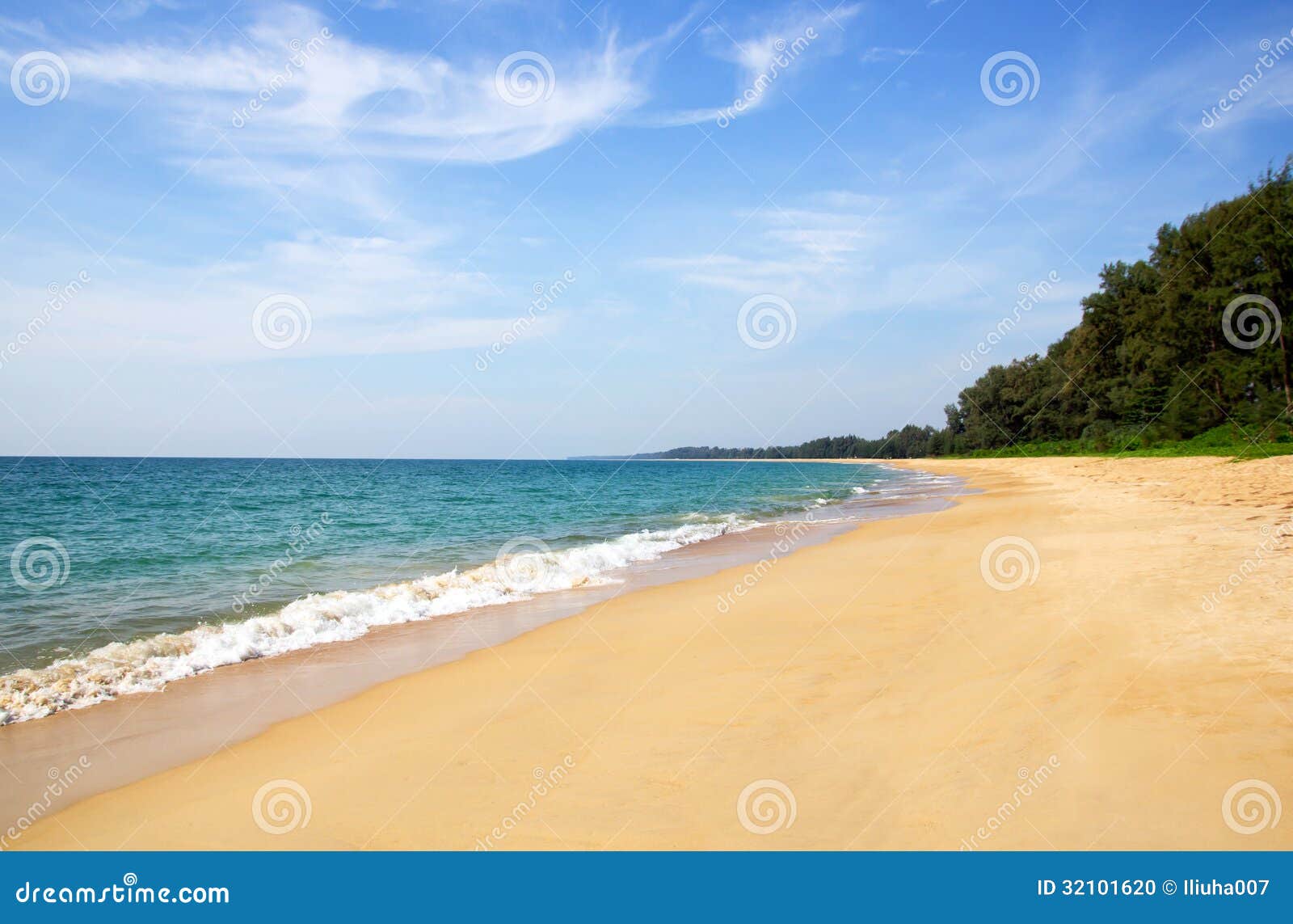 Beach, the sea, the forest stock photo. Image of shore - 32101620