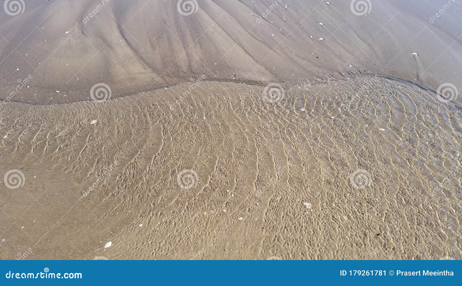 Beach and Sea Level stock image. Image of bank, outside - 179261781