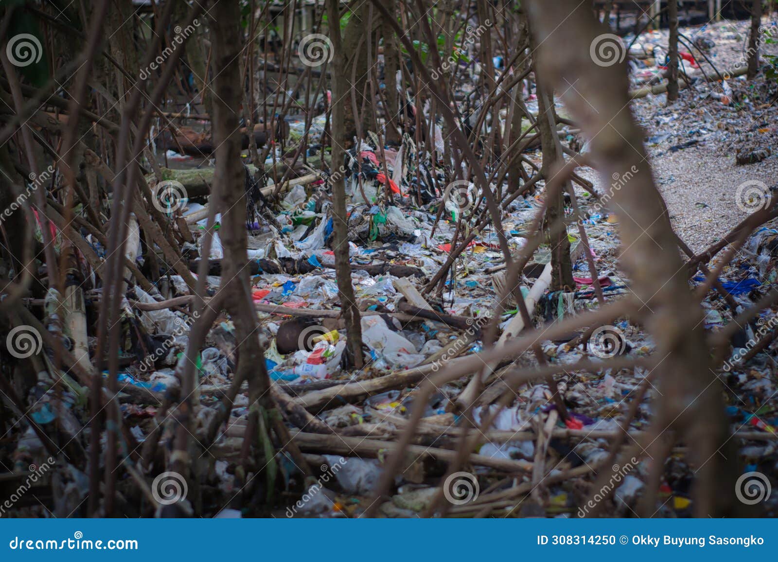Polution With Plastic Waste On A River Stock Photography ...