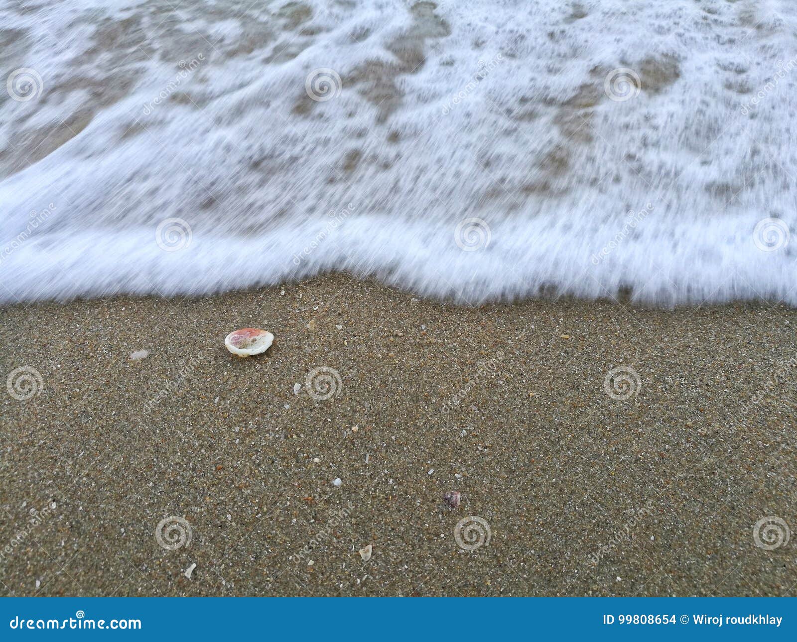 Beach stock photo. Image of seawater, beach, waves, shellfish - 99808654