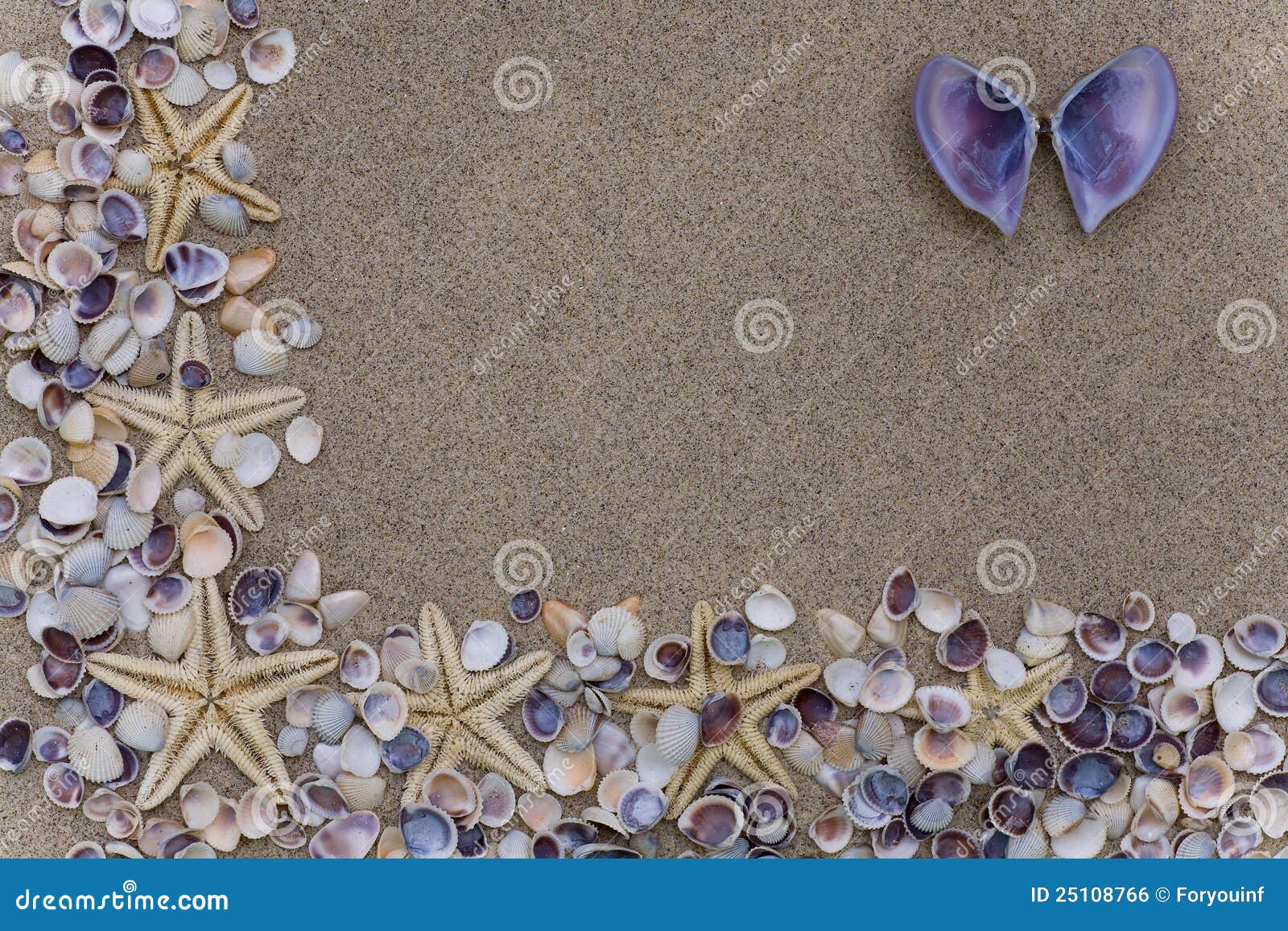 Beach with Seashells and Starfish Stock Photo - Image of note ...