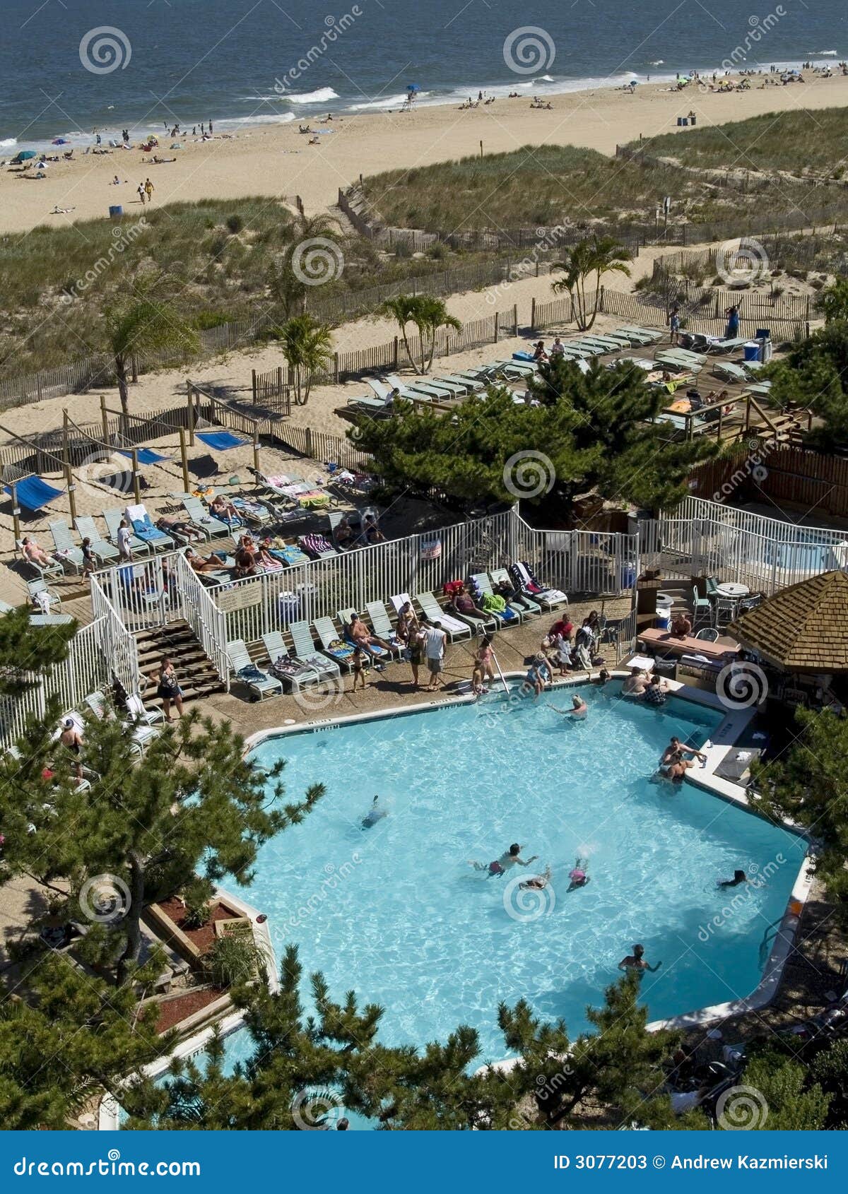 Beach and seaside pool stock image. Image of oceanfront - 3077203