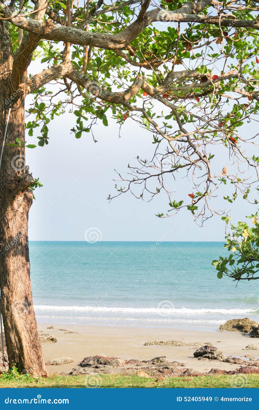 Beach Seaview. stock image. Image of water, tree, paradise - 52405949