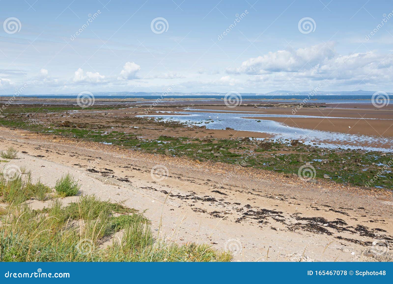 Beach at Seton Sands in Scotland Stock Photo - Image of beach ...