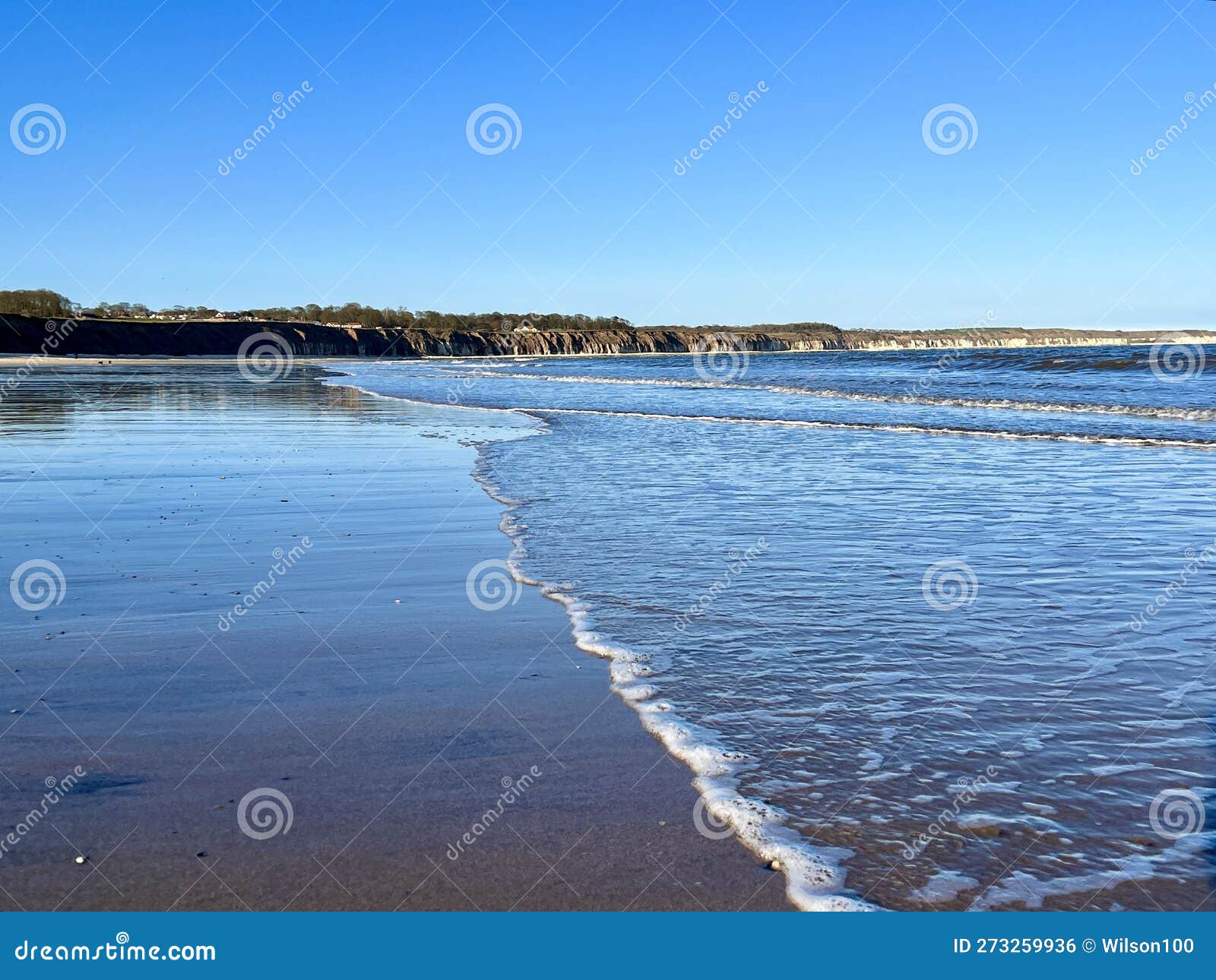 Beach stock photo. Image of ocean, cliff, water, shallow - 273259936