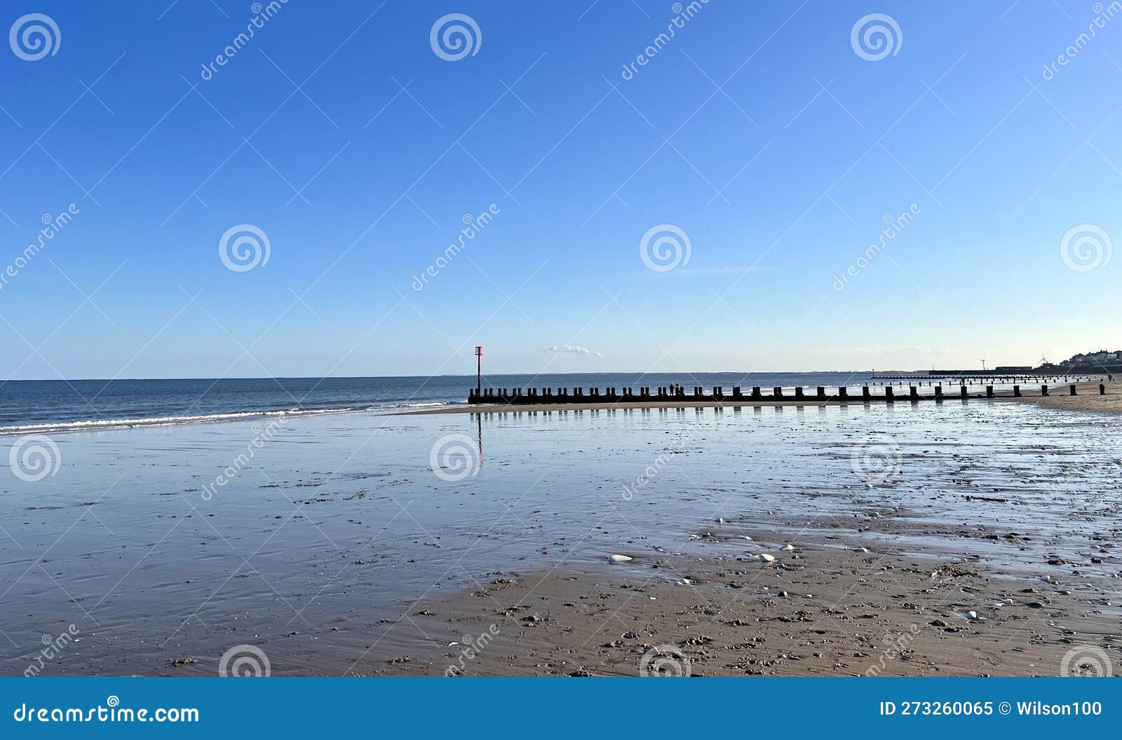 Beach stock image. Image of sand, shallow, beaches, oceans - 273260065