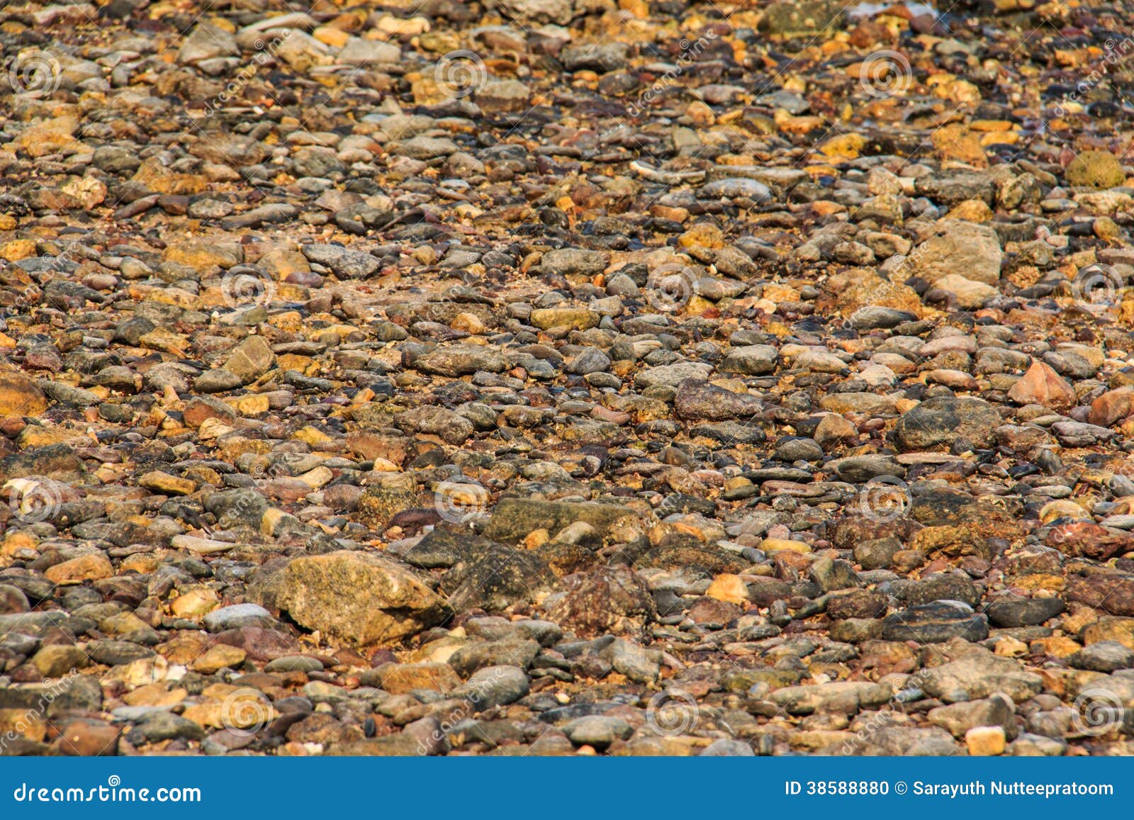 Beach sharp pebbles stock photo. Image of grey, color - 38588880