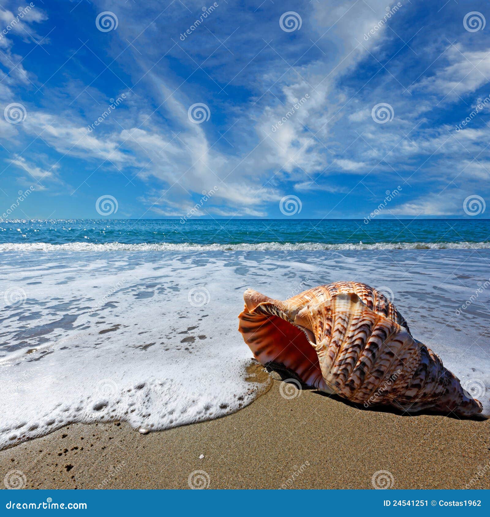 Beach with shell stock image. Image of outdoor, blue - 24541251