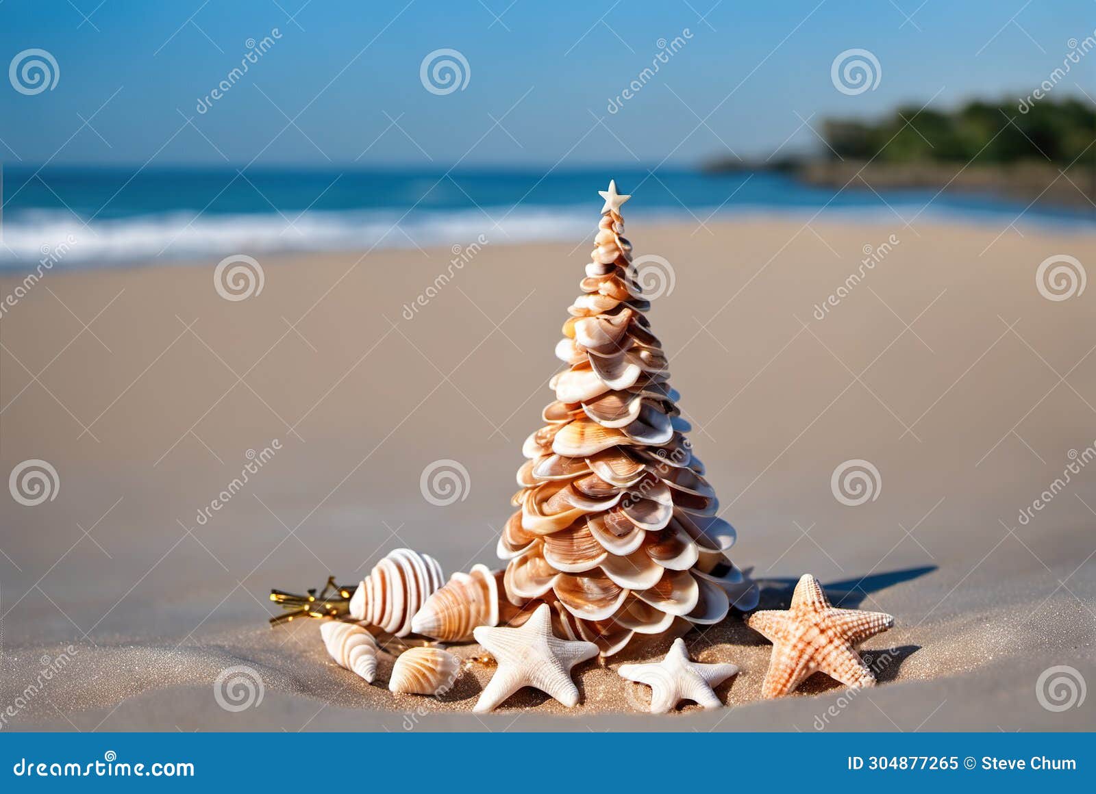 Beach Shell Environment Christmas Tree Made of Seashells Stock ...