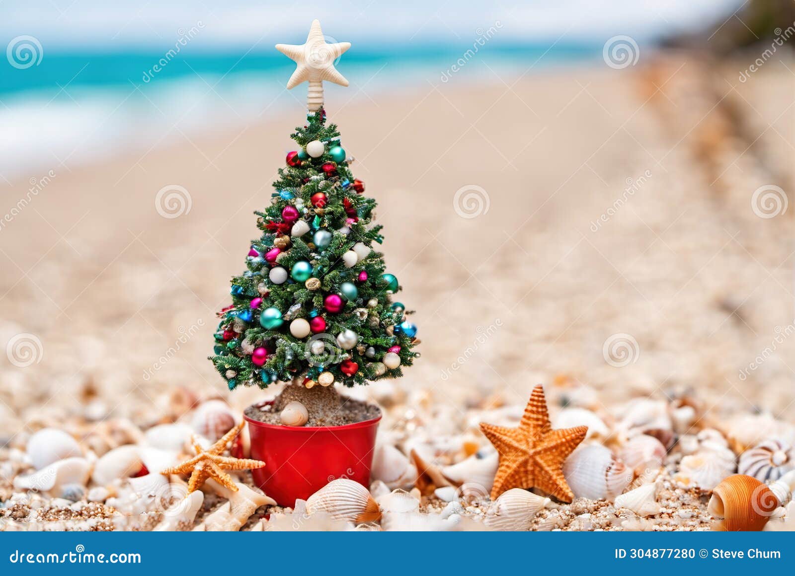 Beach Shell Environment Christmas Tree Made of Seashells Stock ...