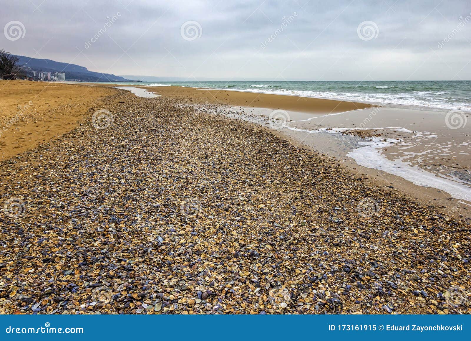 Beach with Shells in the Foreground on the Sand and Sea Waves, Stock ...