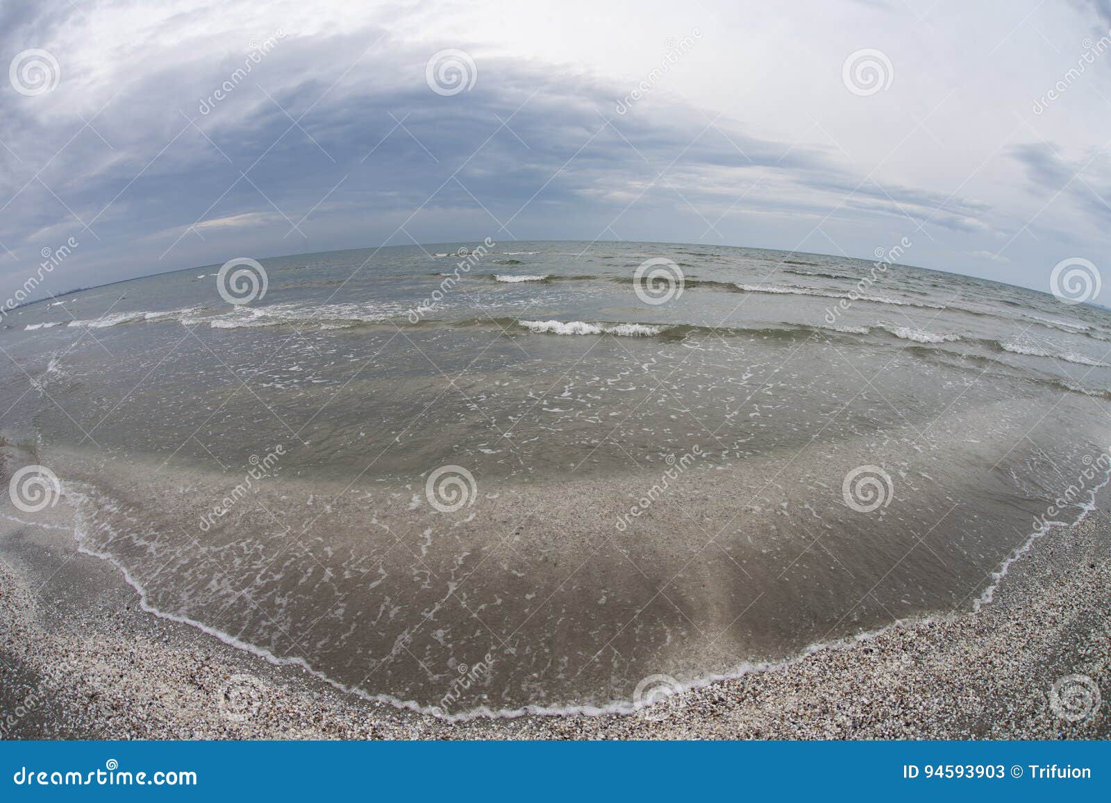 Beach of shells stock image. Image of background, sand - 94593903