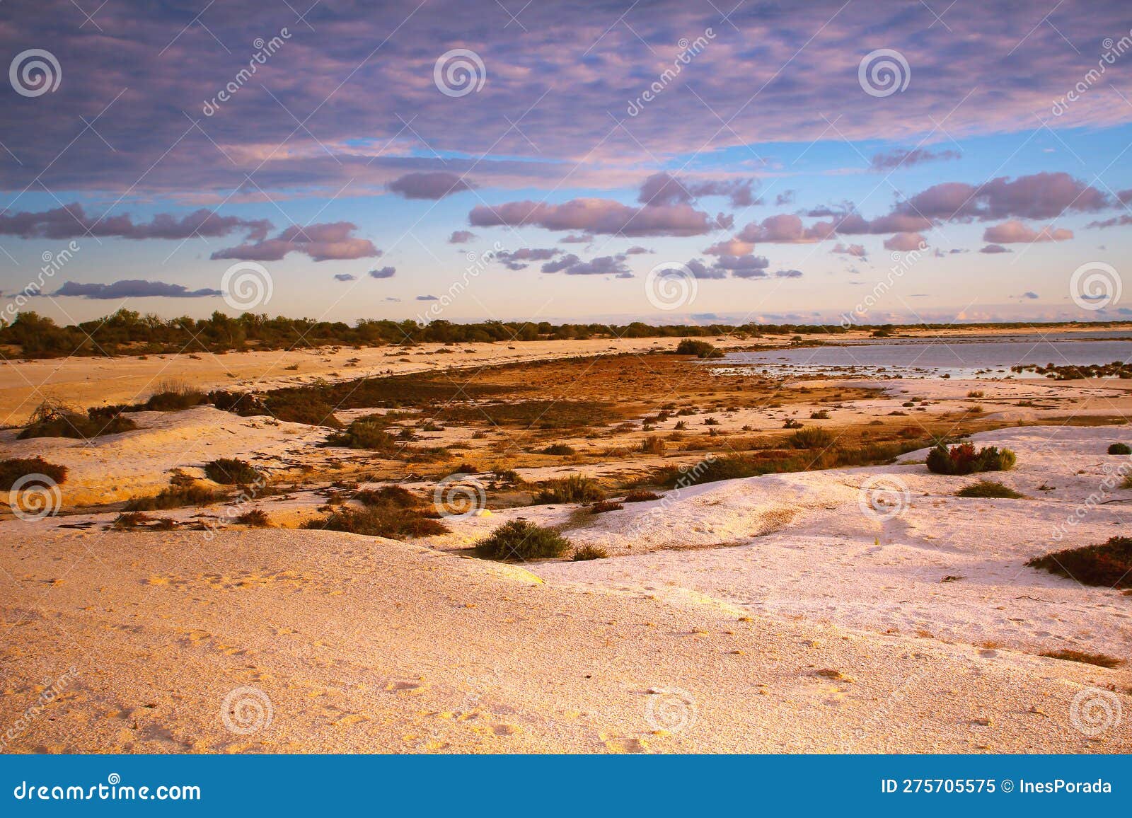 Beach of Shells at Hamelin Pool in the Evening, Western Australia Stock ...