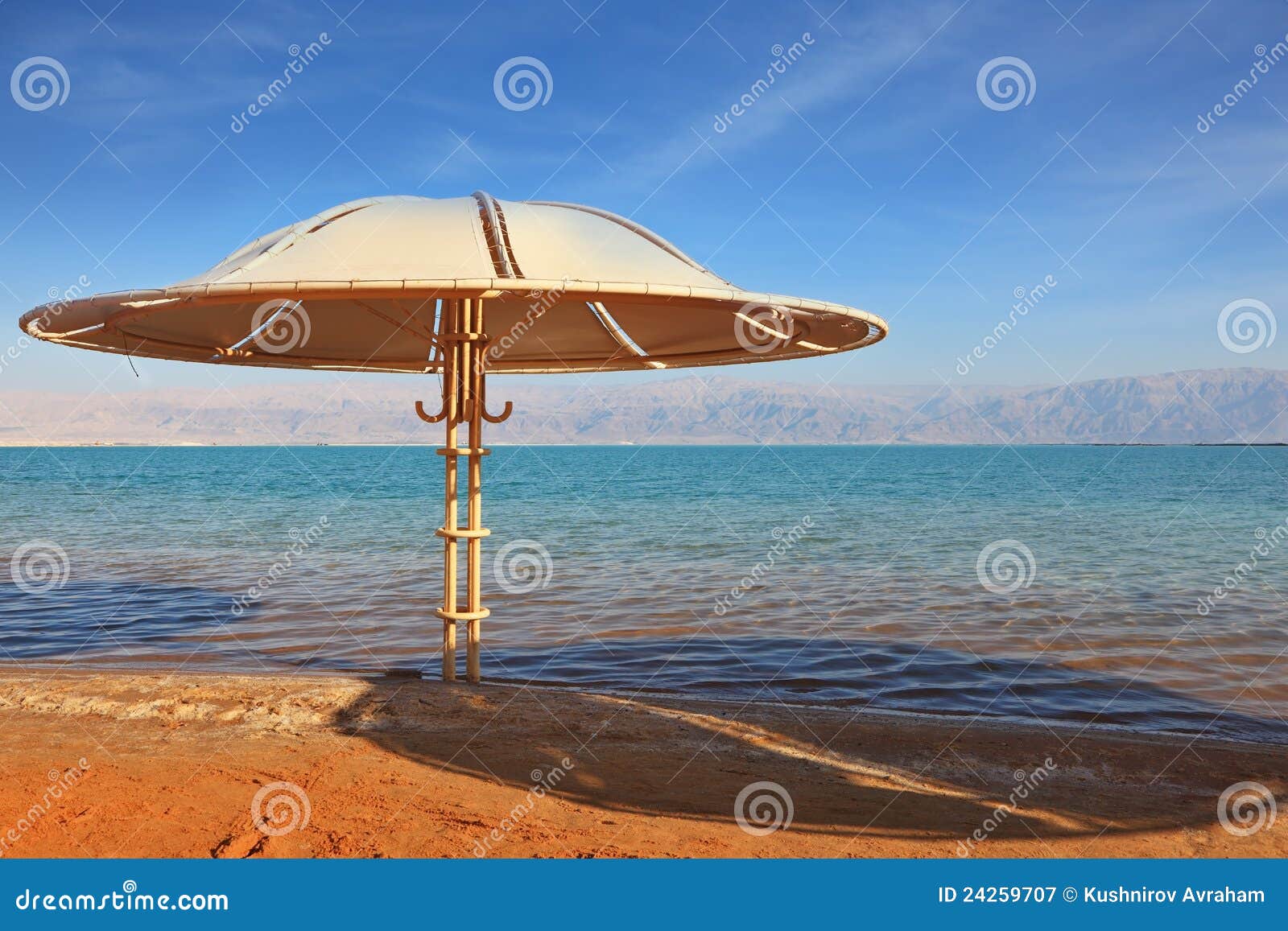 A Beach on the Shore of the Dead Sea Stock Image - Image of wood, rest ...