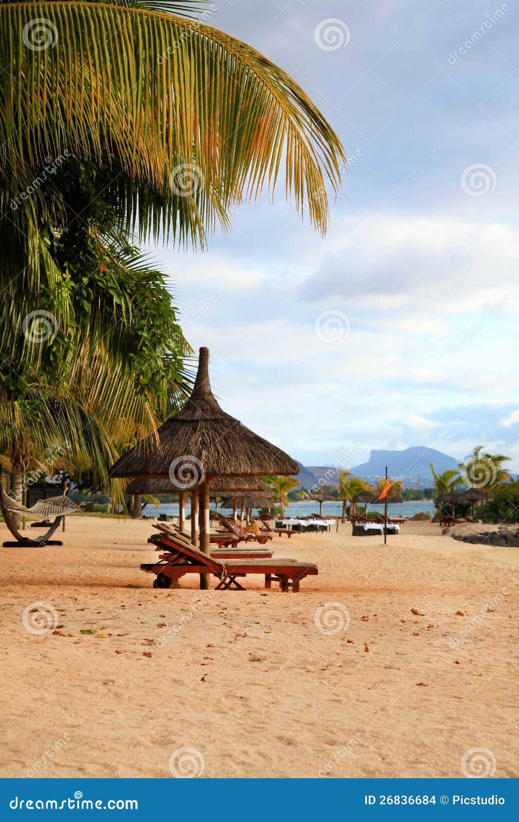 Beach side stock photo. Image of trees, beach, beautiful - 26836684