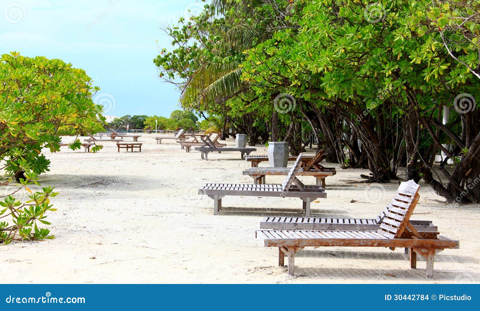 Beach side stock photo. Image of chairs, greenery, trees - 30442784