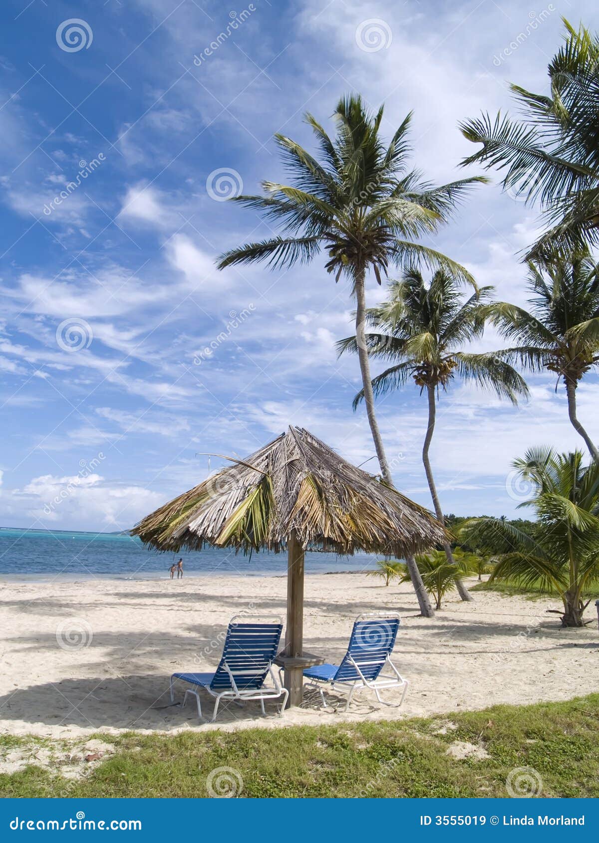 Beach Side Chairs stock image. Image of relax, chair, caribbean - 3555019