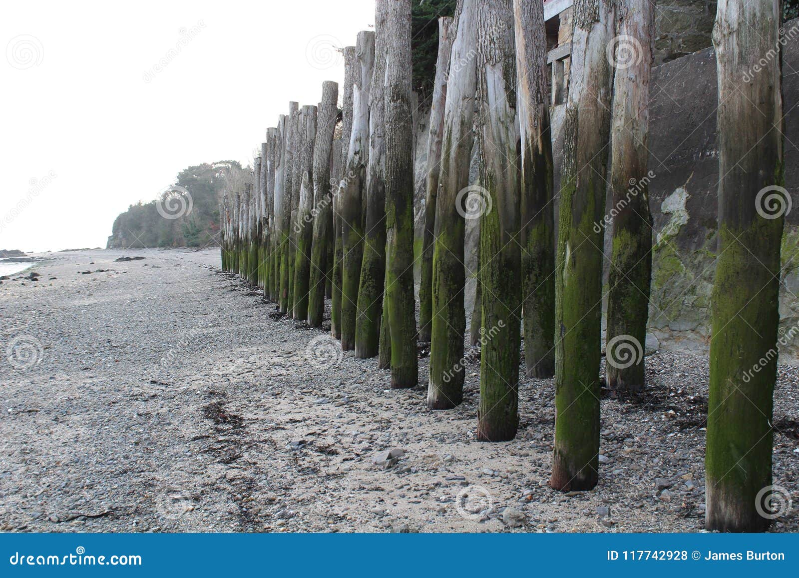 Beach side poles stock photo. Image of poles, wooden - 117742928