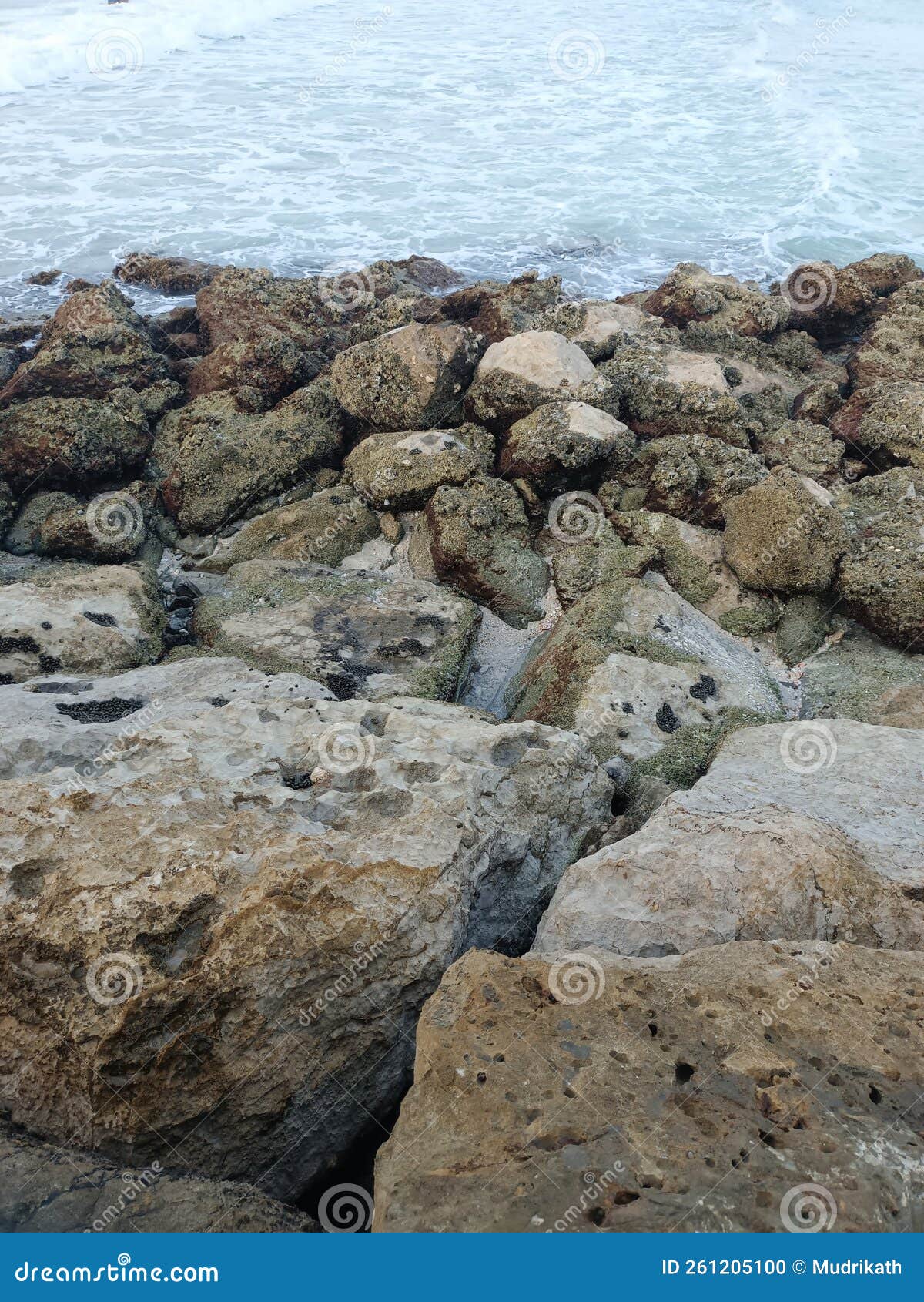 Beach Side Stones Closer View Stock Photo - Image of boulder, geology ...