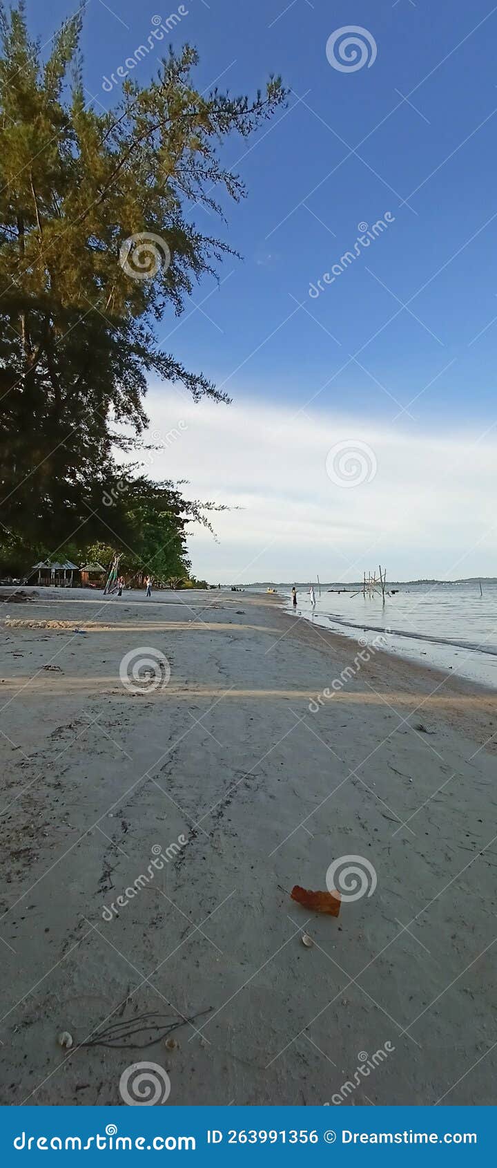 Beach stock photo. Image of beach, view, clearview, side - 263991356