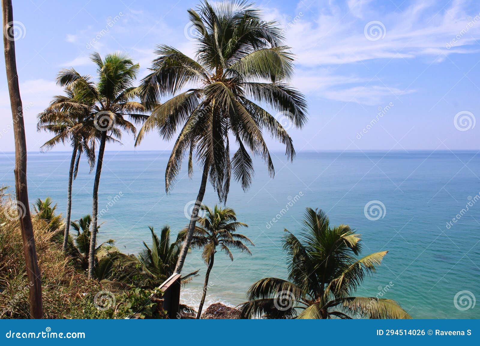 Beach Side View Coconut Trees Stock Photo - Image of beach, view: 294514026