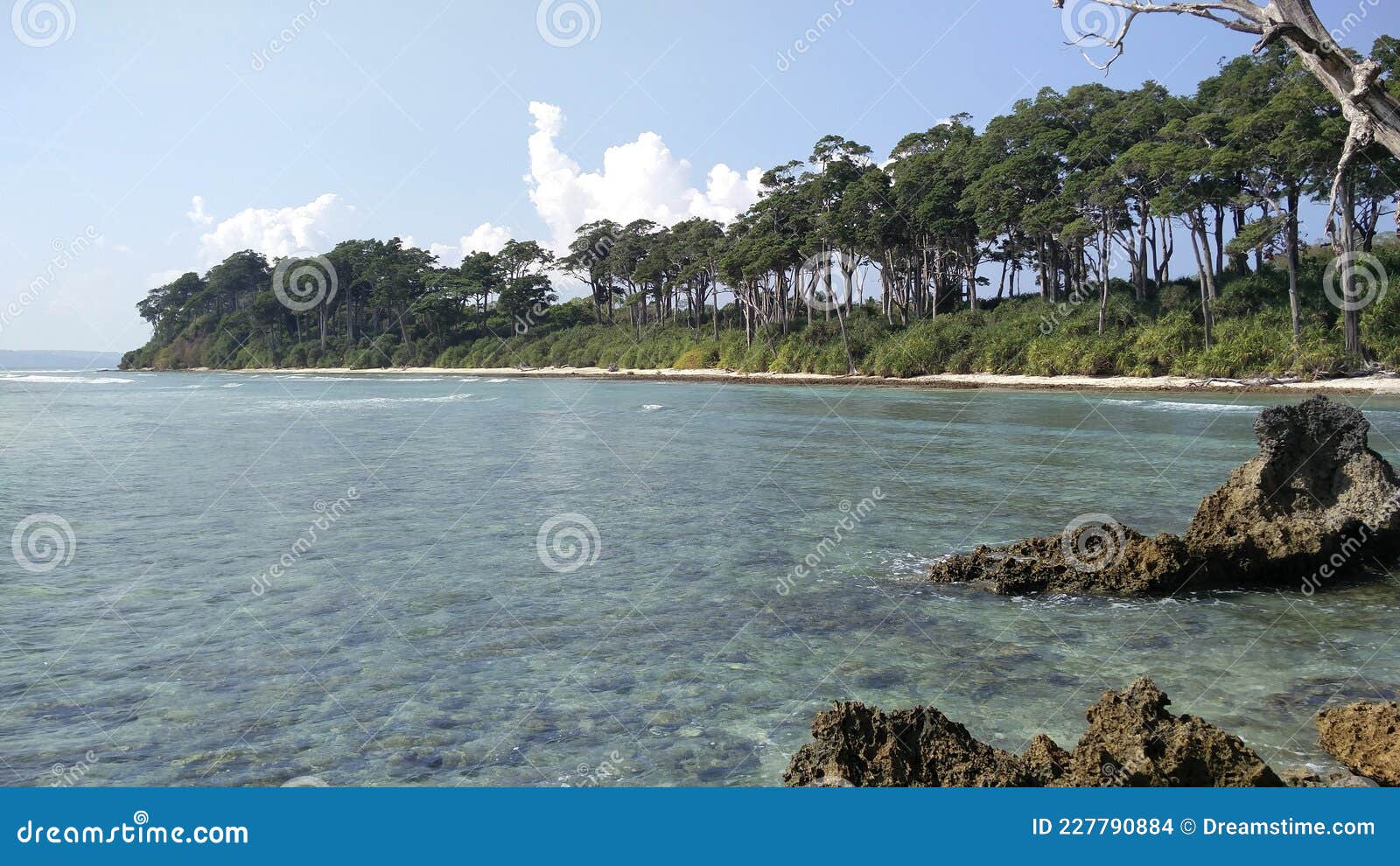 Beach side view stock photo. Image of shore, island - 227790884