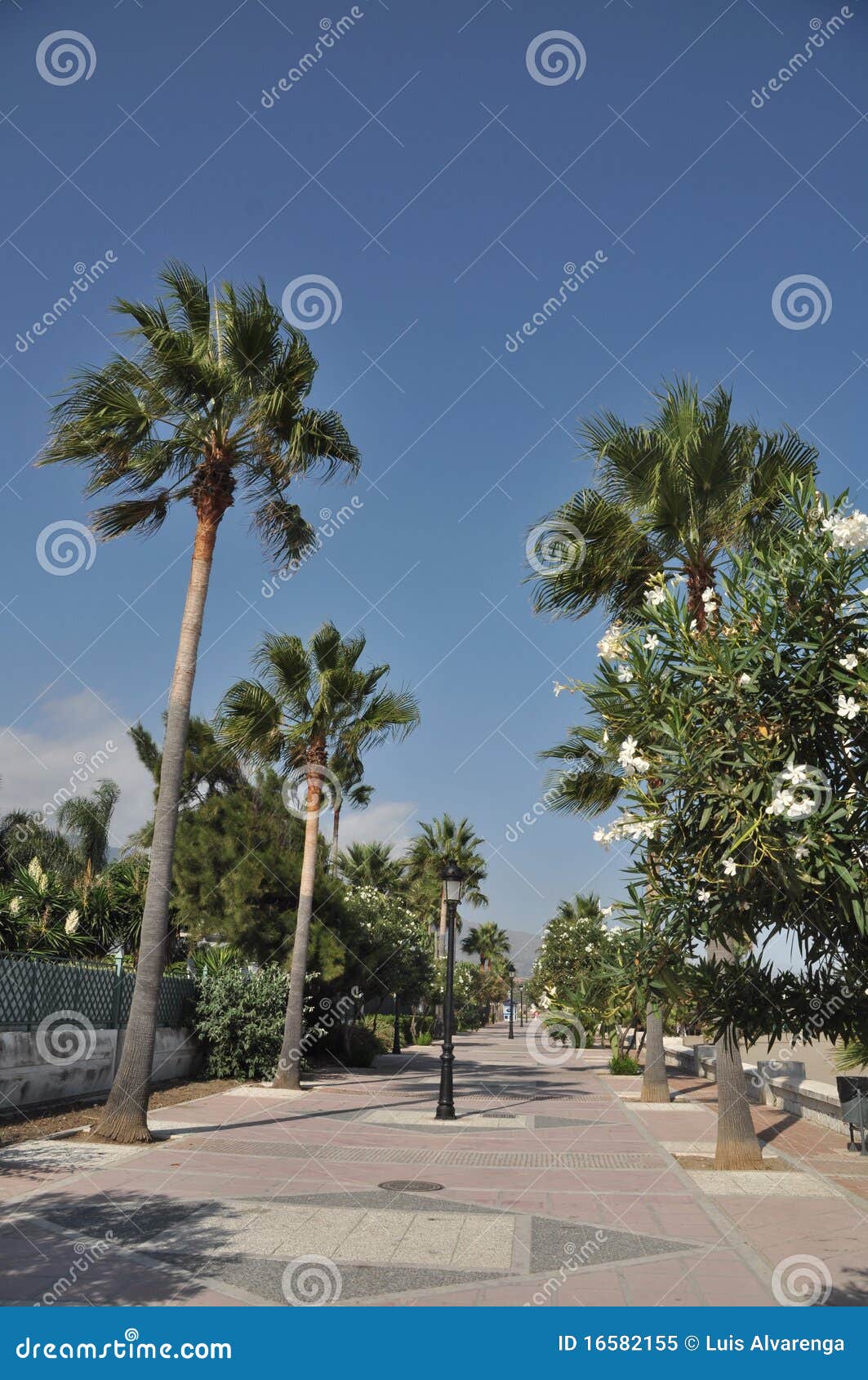 Beach sidewalk stock image. Image of sidewalk, walkway - 16582155