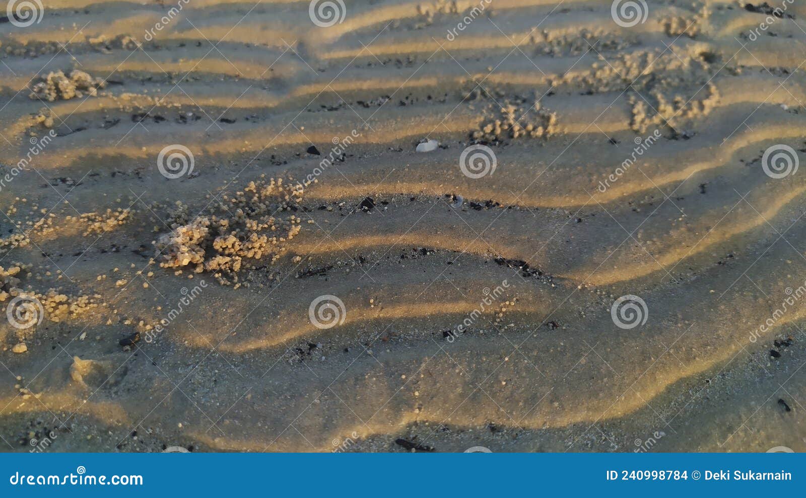 Beach Soil Texture at Low Tide Stock Photo - Image of closeup, backdrop ...