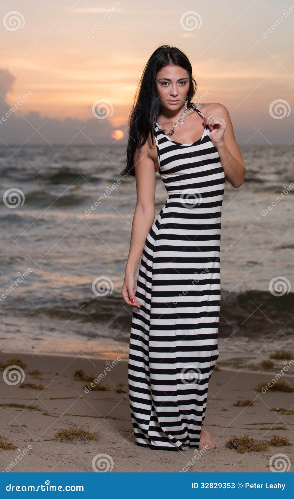 On a Beach in South Florida Stock Image - Image of beautiful, pretty ...