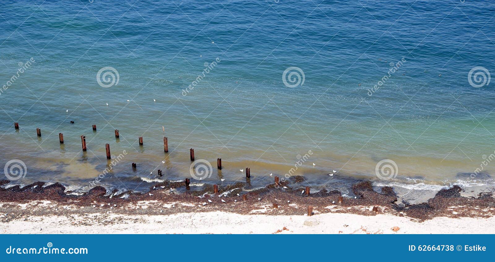 Beach with Spiles and Seaweed Stock Photo - Image of spile, seaweed ...