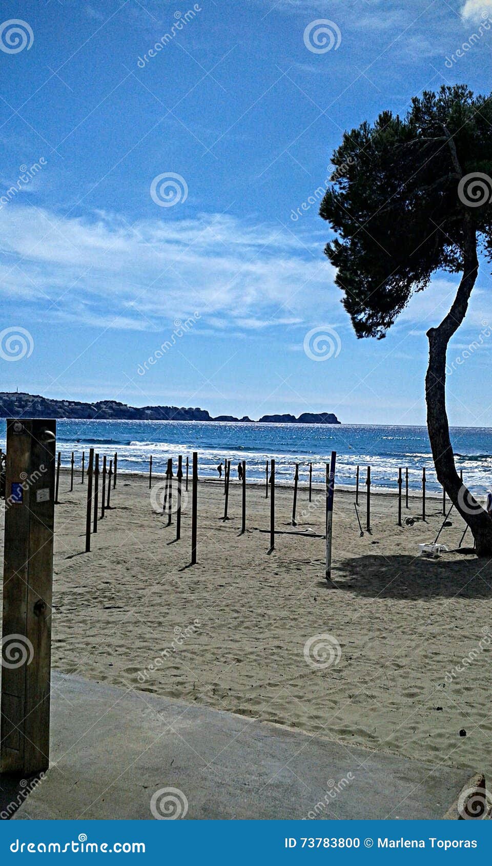Beach stock photo. Image of tree, spring, sand, beach - 73783800