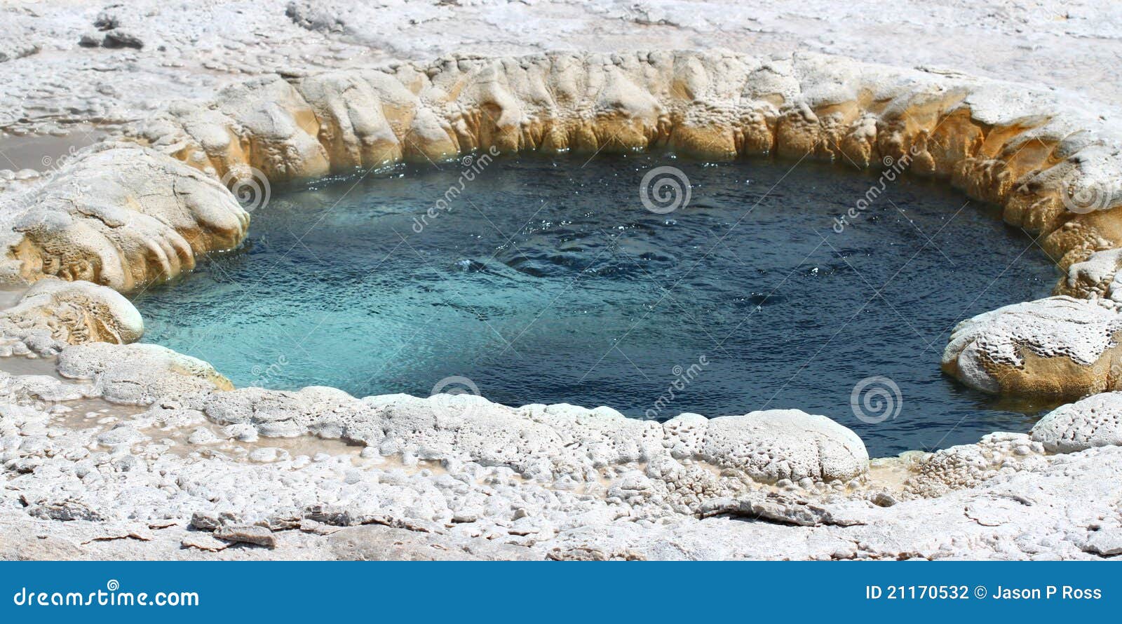 Beach Spring - Yellowstone NP Stock Photo - Image of park, natural ...